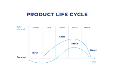 Product life cycle - what is worth bearing in mind?